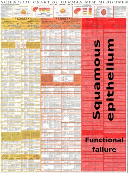 Cerebral Cortex - Diagnostic Chart - GHK Academy