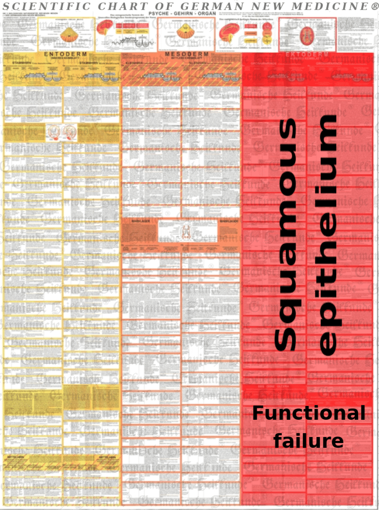 Cerebral Cortex - Diagnostic Chart - GHK Academy